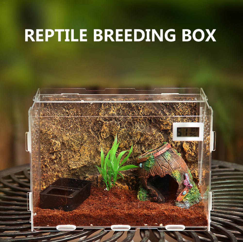 Acrylic Cuboid Reptile Breeding Box 360 Degree Hig... – Grandado