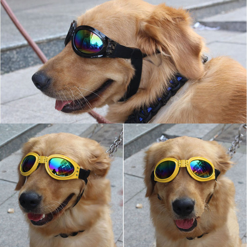 Foldable Pet Glasses Dog Sunglasses for Small Medi... – Grandado