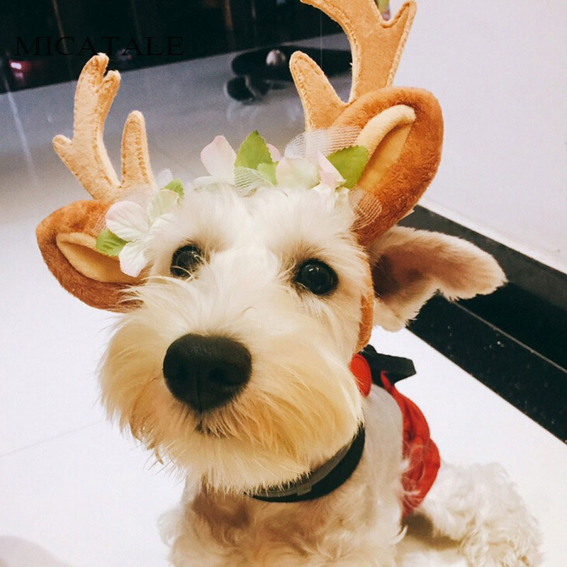 Micatale Xmas Hoed Hond Kat Kerst Hoofddeksels Ker... – Grandado
