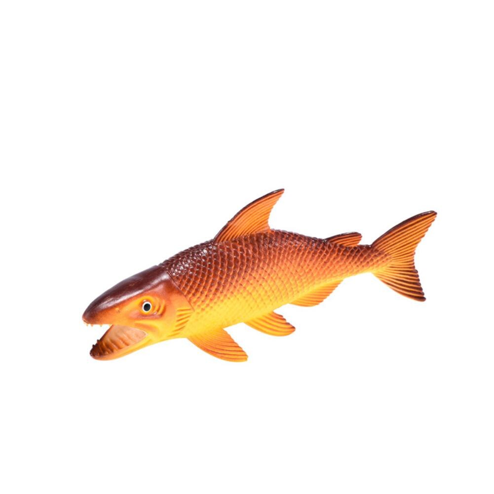 Ocean Animals Fish Model Simulation Freshwater Sea... – Grandado