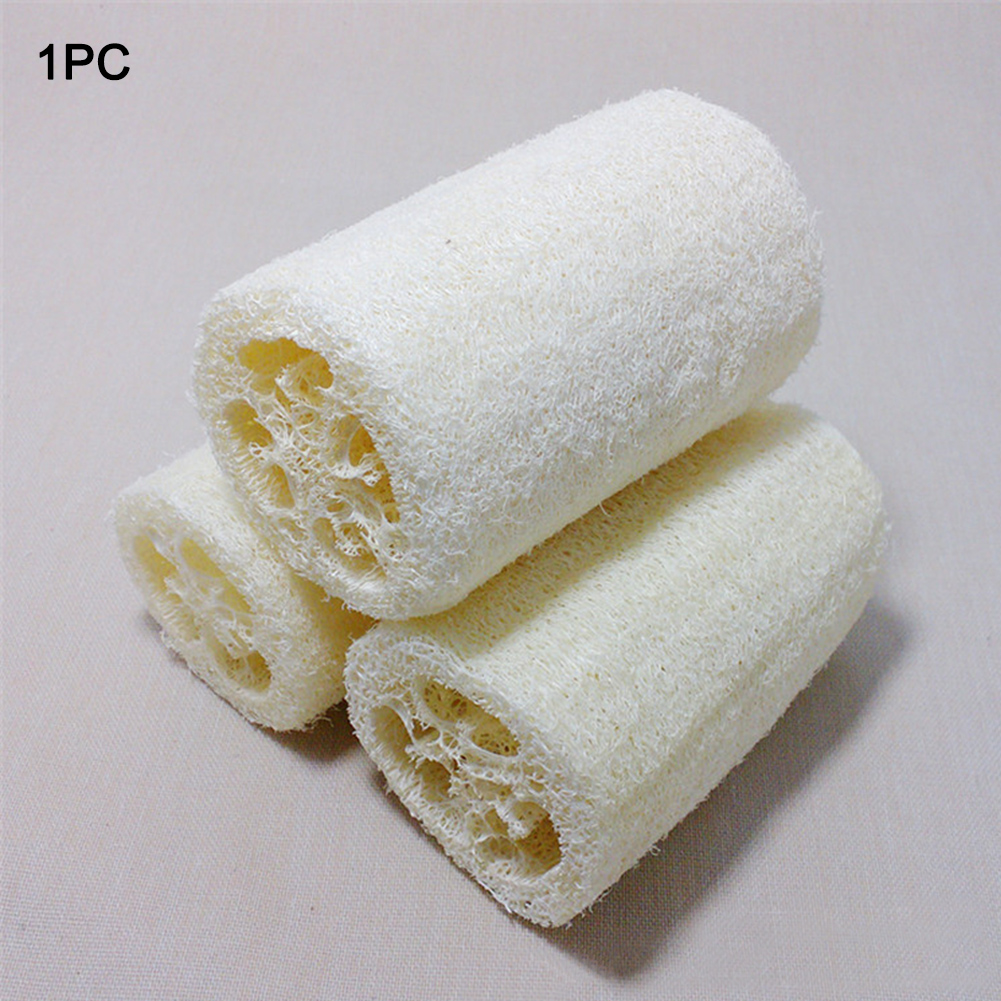 1Pc Natural Loofah Luffa Loofa Bath Shower Sponge ... – Grandado