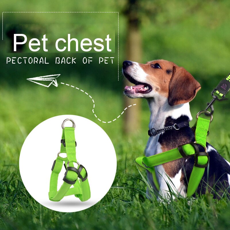 USB Nylon Pet Safety LED Harness Dog Product Flash... – Vicedeal