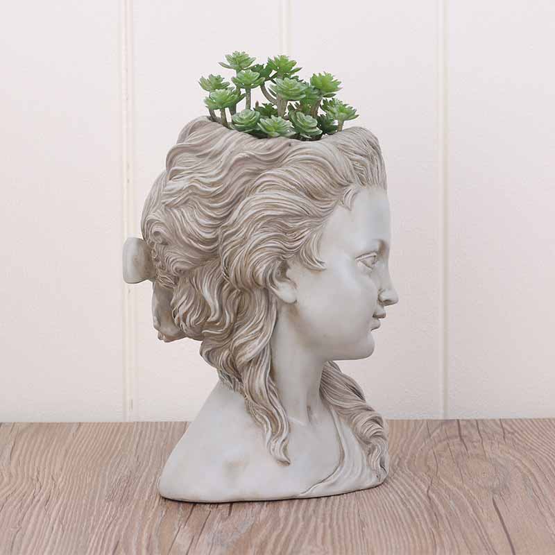 large succulent plant flower pots the head of Gree... – Vicedeal