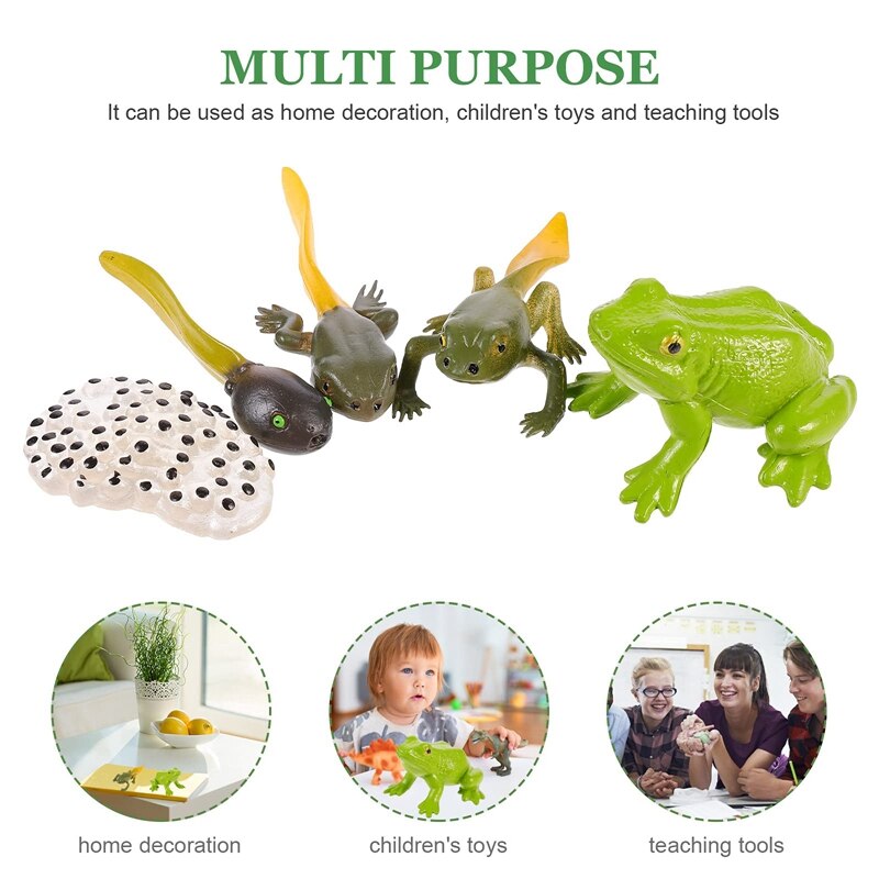 3 Sets Simulation Frog Life Cycle Figures Growth S... – Grandado