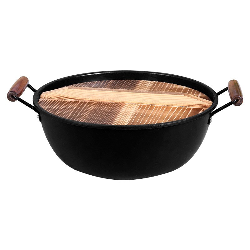 Cast Iron Stew Pot Coated Pot Cast Iron True Stain... – Grandado