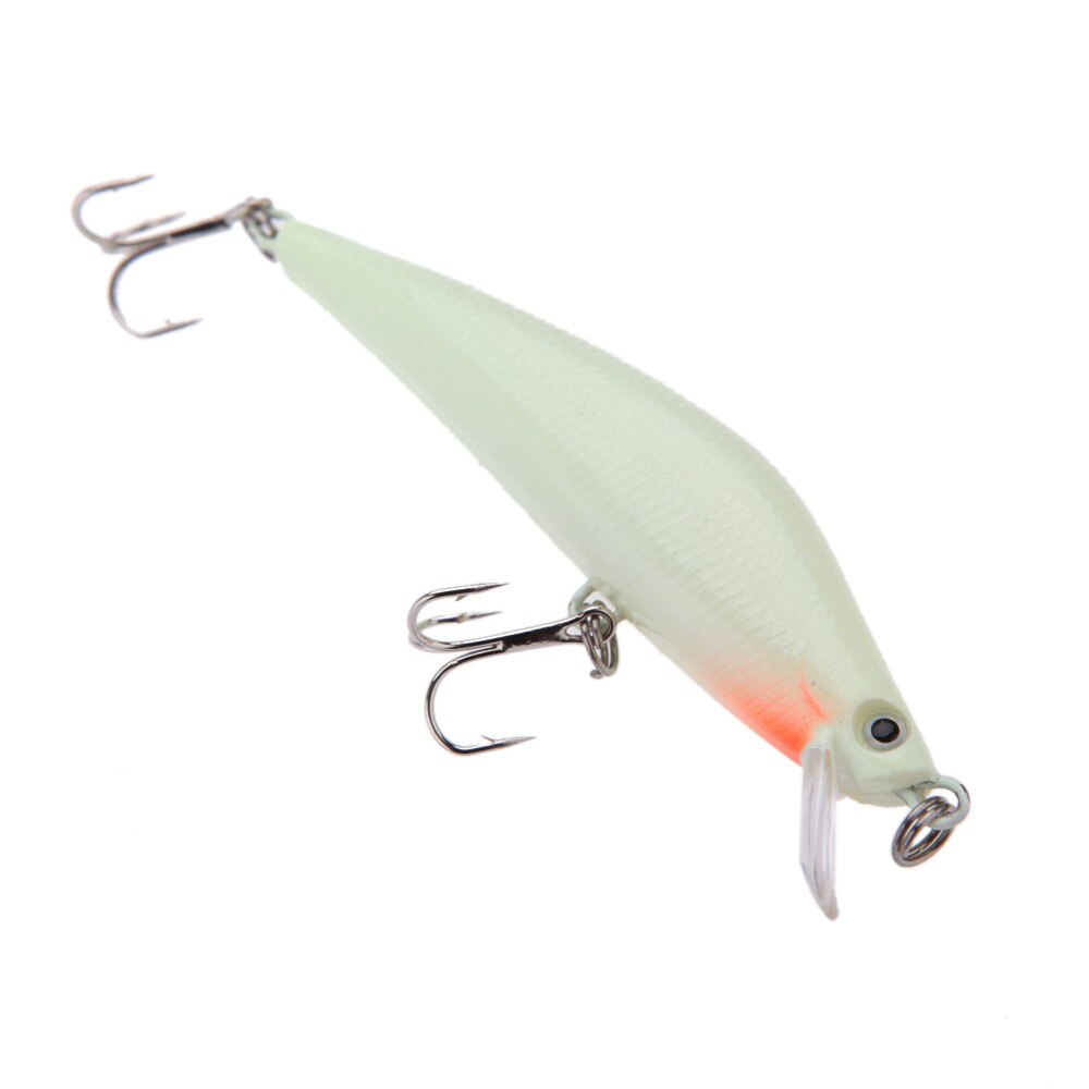 2pcs/lot 3D Luminous Night Fishing Minnow Lure Lif... – Vicedeal