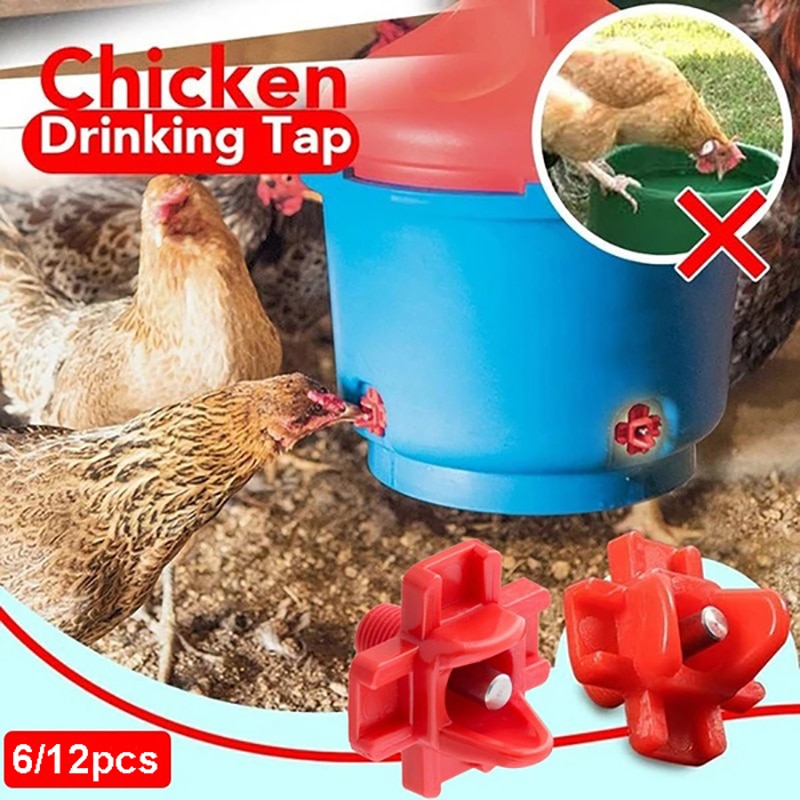 Water Drinking Chicken Waterer Automatic Poultry D... – Vicedeal