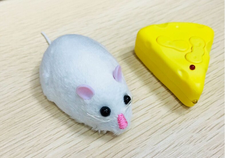 Cool mini mouse toys for cat pet toys with radio r... – Grandado