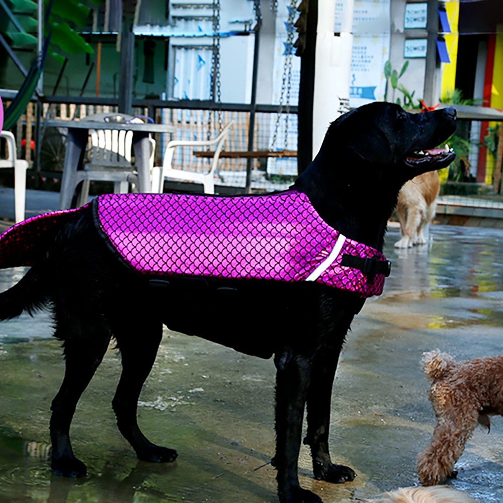 DogLemi Pet Dog Reflecting Life Jacket Mermaid Dog... – Grandado