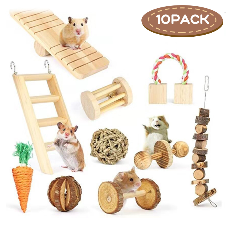 Houten Hamster Konijn Cavia Parrot Play Molaire Le... – Vicedeal