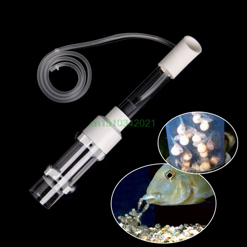 Akwarium wylęgarnia ryba kubek inkubator akwarium ... – Grandado