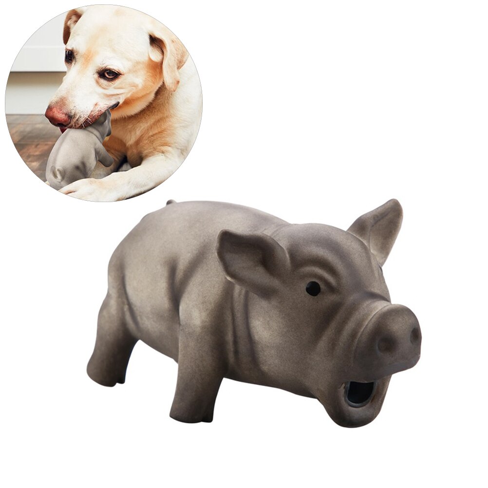 Cute Latex Pig Grunting Toy Pet Chew Teeth Grindin... – Vicedeal