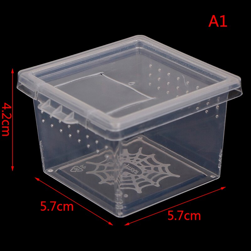 Plastic Insect Spider Habitat Feeding Box Case Con... – Vicedeal