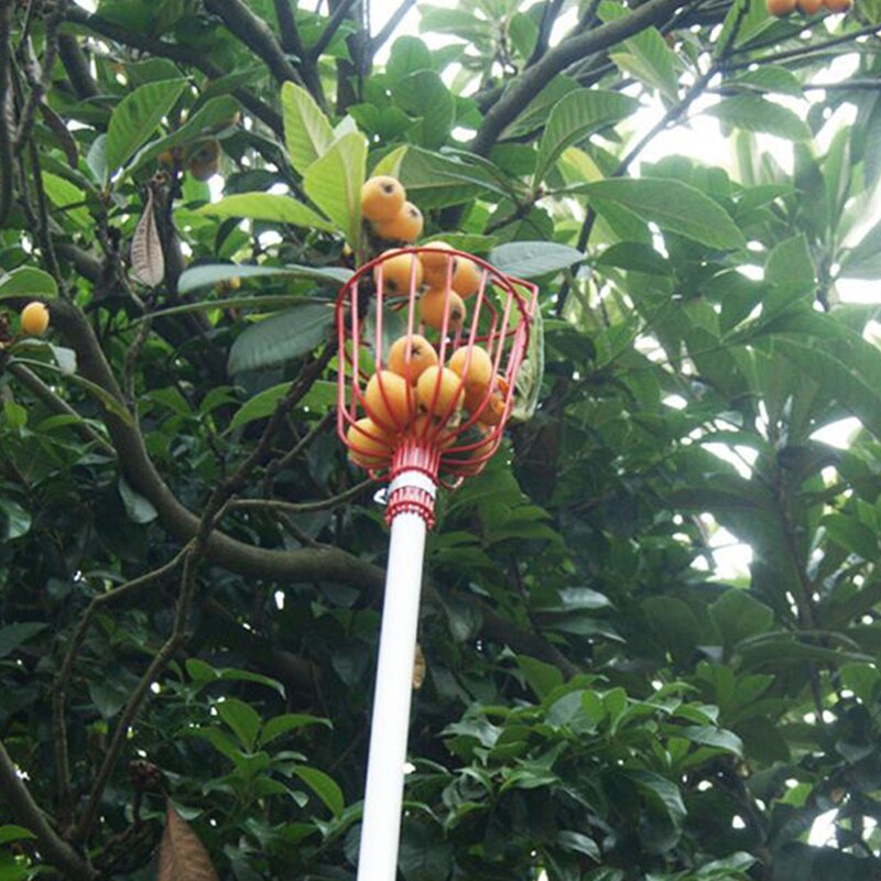 Easy Fruit Picker Plastic Fruits Catcher Farm Gard... – Vicedeal