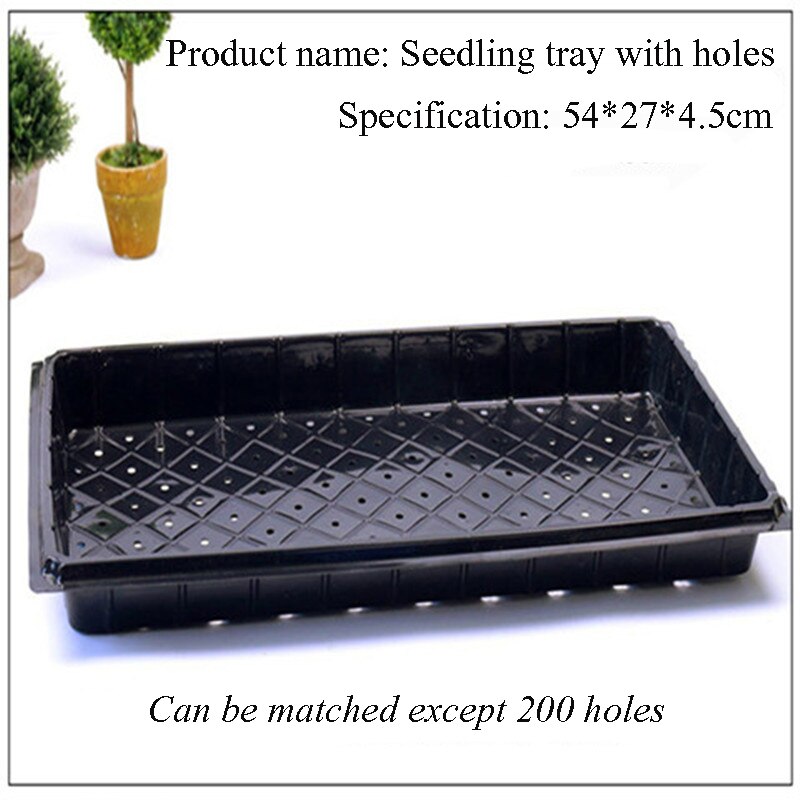 Seed Sowing Flats Garden Greenhouse Tools Plant Fl... – Grandado