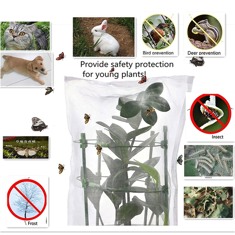 Plant Support Holder Seeding Plant Protective Scre... – Grandado