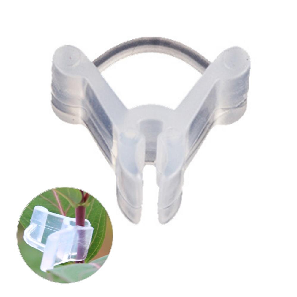 100 Pcs Tuinieren Enten Clips Tuin Groente Bloem W... – Grandado