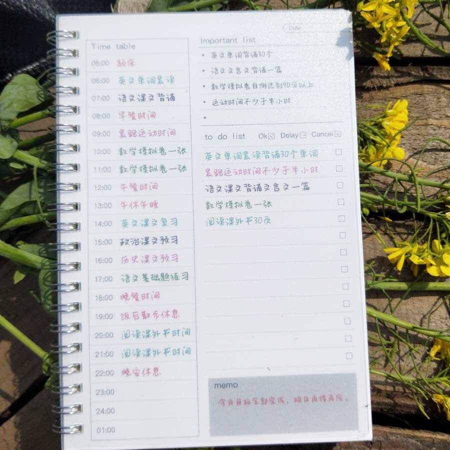 Transparante Pp Time Management Spiraal Spoel Note... – Vicedeal