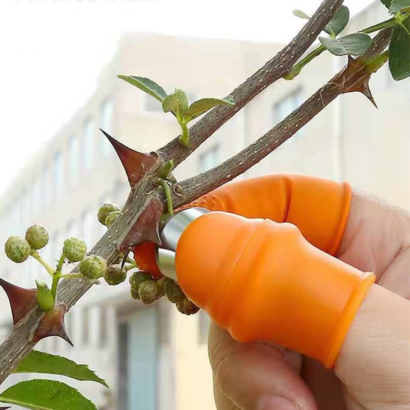 Farm Groente Fruit Picker Augurk Peper Augurk Tip ... – Grandado