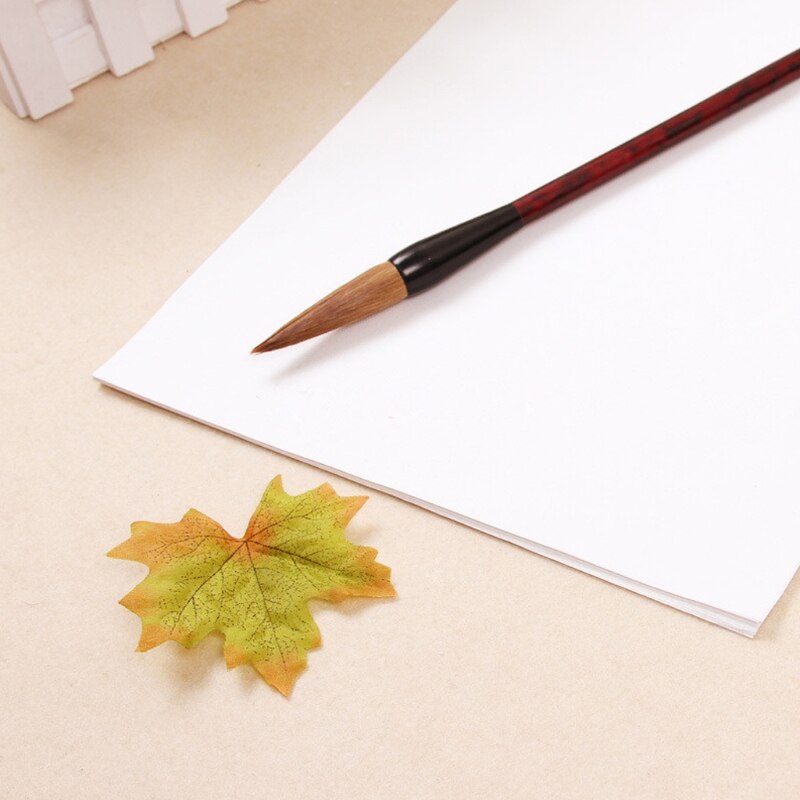 30Pcs Xuan Paper Chinese Raw Rice Paper Painting C... – Vicedeal