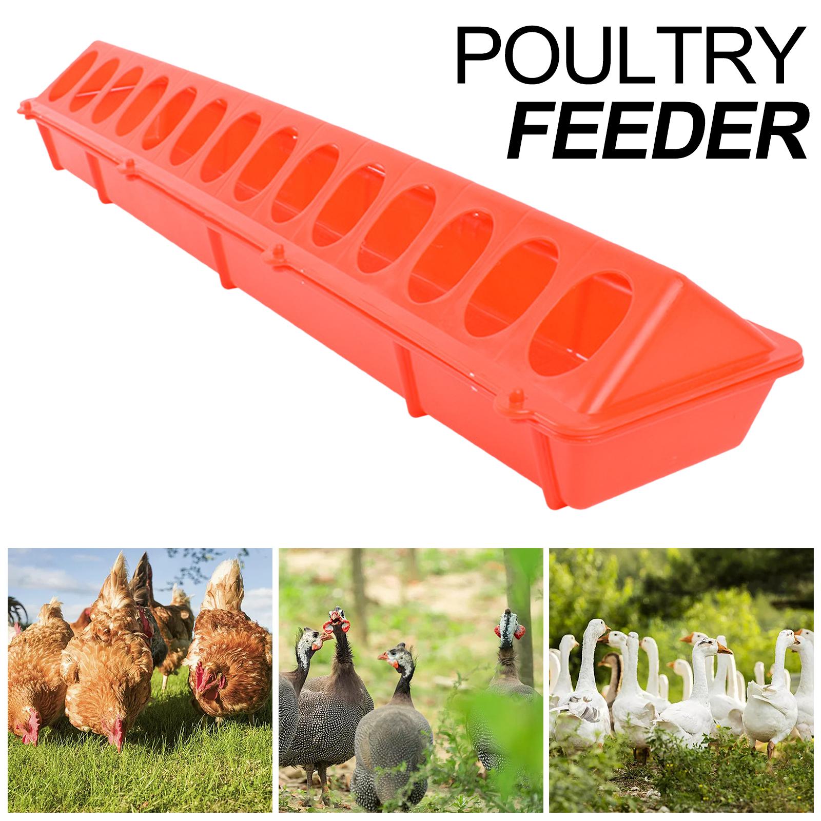 Plastic Flip Top Poultry Feeder Birds feed Long Tr... – Grandado