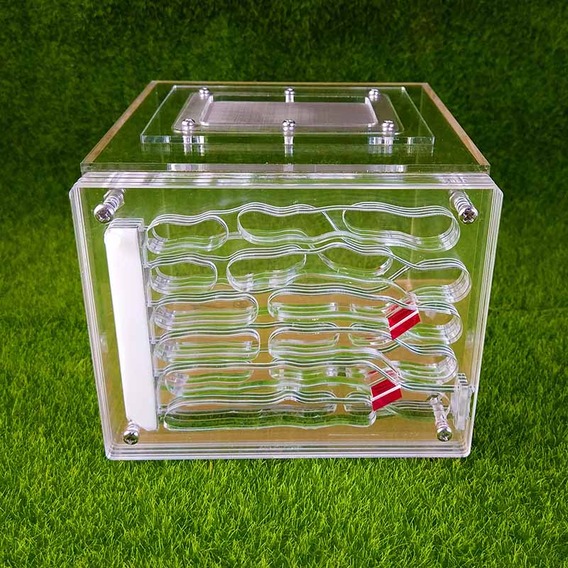 Acrylic Large Moisturizing Ant Nest Pet Ant Farm W... – Grandado
