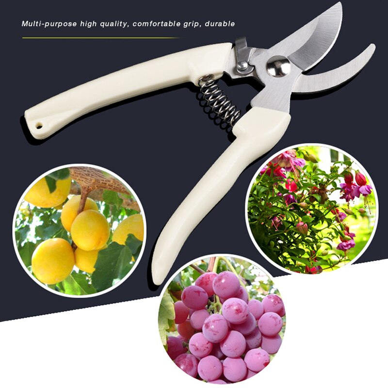 17cm Pruner Baum Cutter Gartenarbeit Beschneiden S... – Grandado