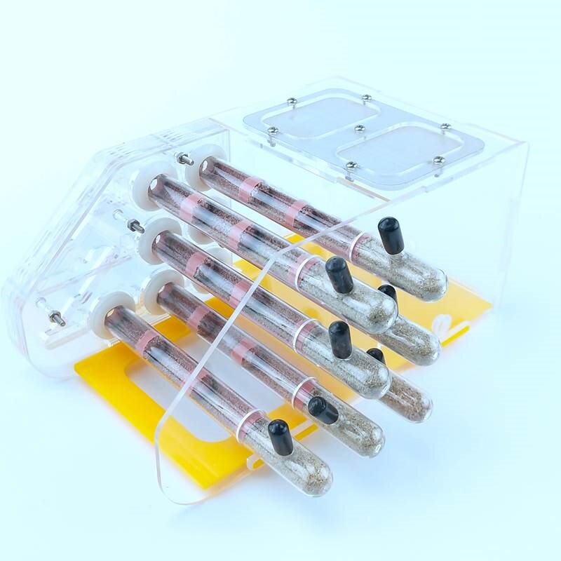 AntHouse AcrylicSand Starter Kit for Ant Keeping D... – Vicedeal