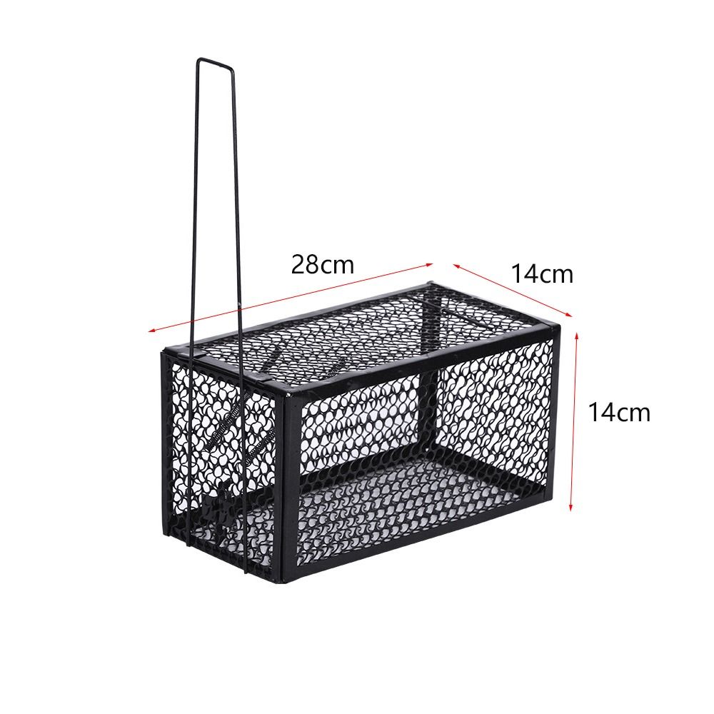 Self-locking Trap Catcher Mouse Rat Bait Mice Live... – Grandado
