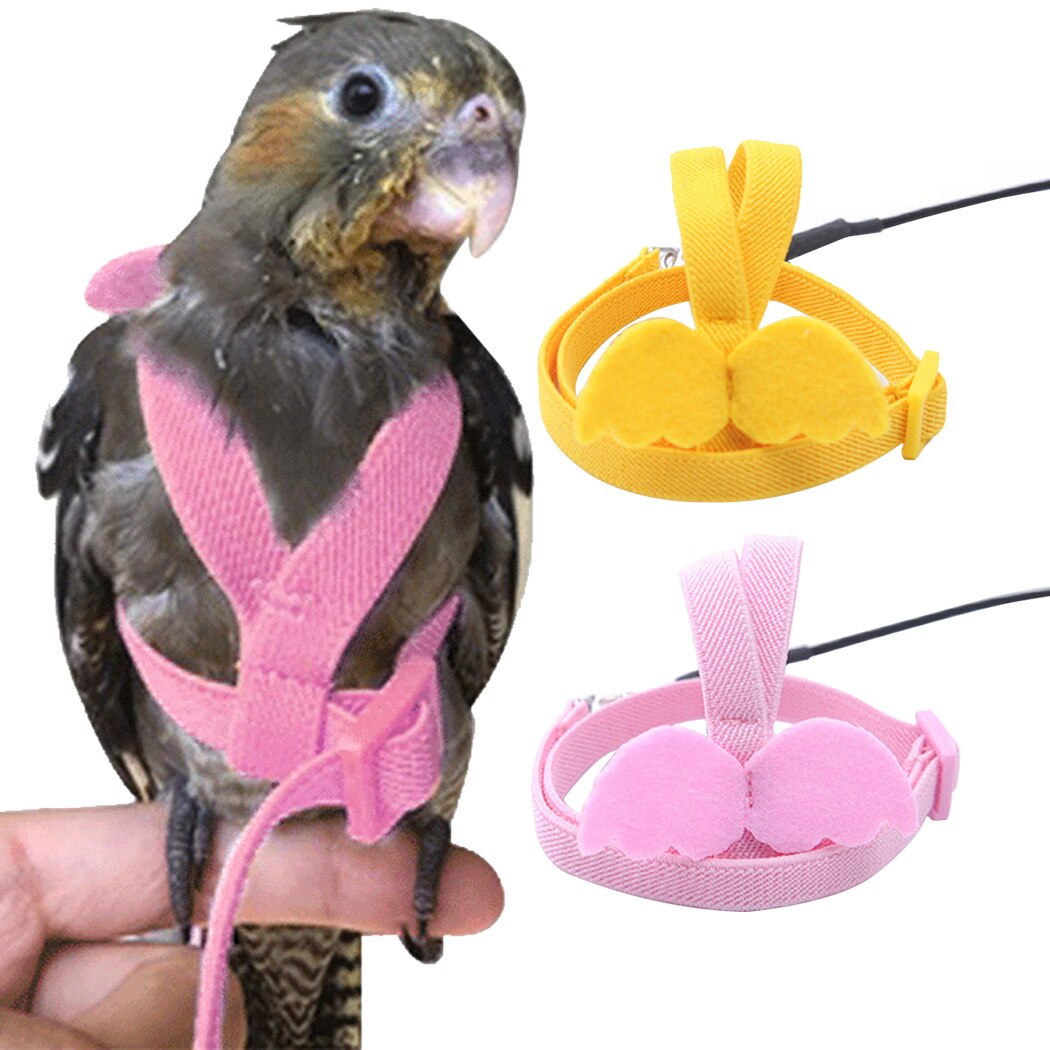 Parrot Harness With Leash Adjustable Parrot Bird H... – Grandado