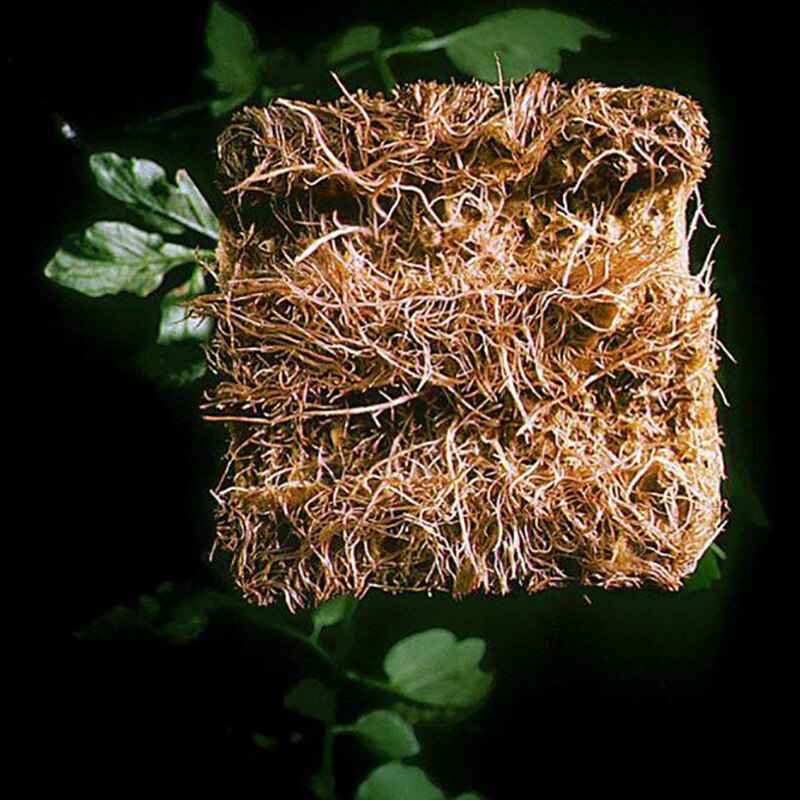 Starter Plugs Cubes Rockwool Hydroponic Grow Media... – Grandado