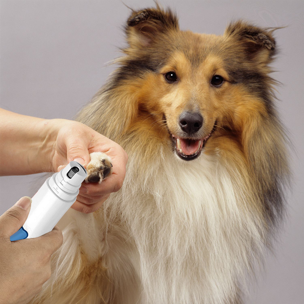 Electric Pet Nail Grinder Painless File Trimmer Po... – Vicedeal