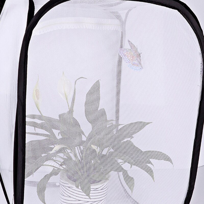 Butterfly Insect Observation Cage Foldable Insect ... – Grandado