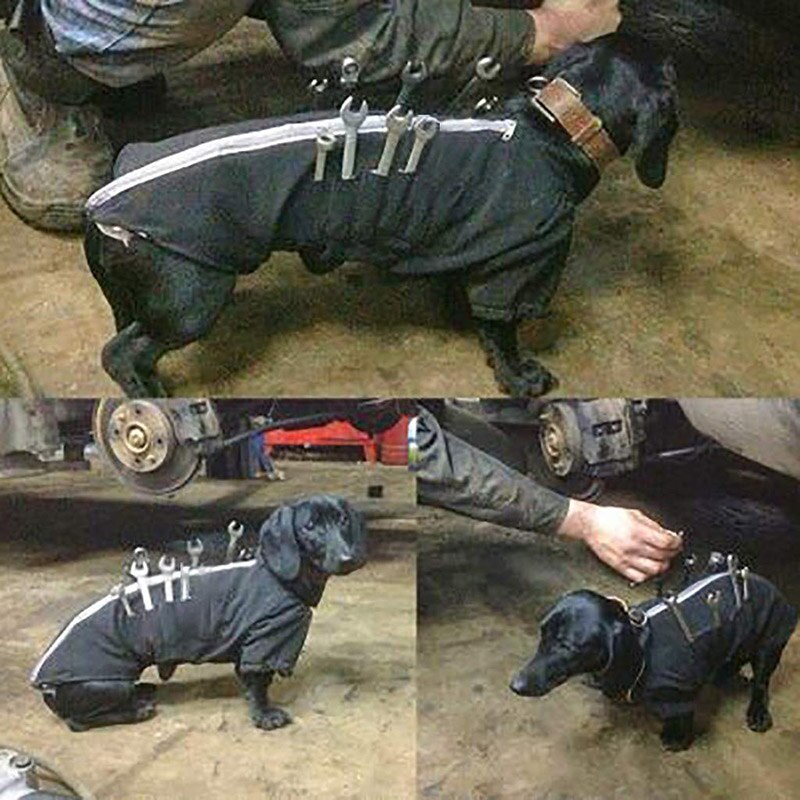 Working Dog Vest Mechanics Assistant Dog Working O... – Vicedeal