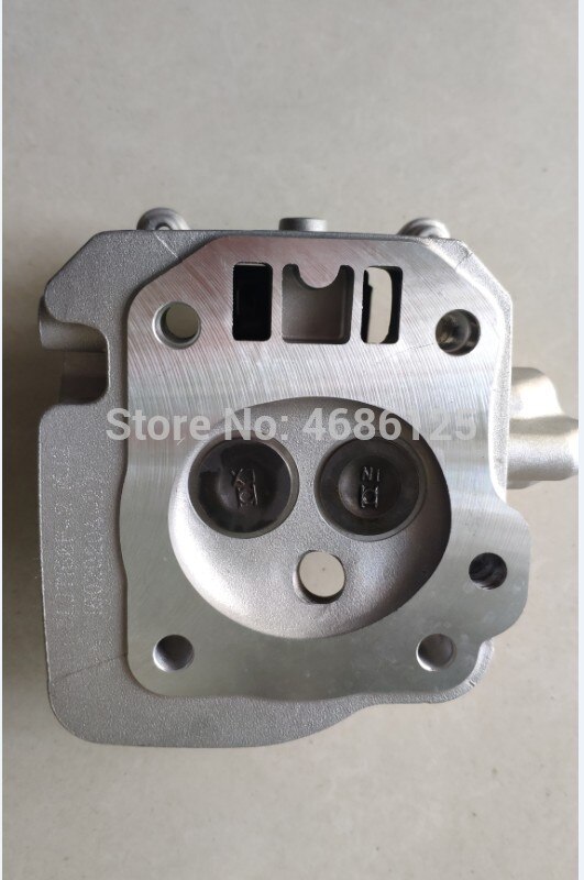 CYLINDER HEAD FOR GX160 160F 168F 2kw EP2500 EC250... – Vicedeal