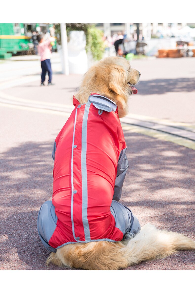 Golden Retriever Big Dog Raincoat Four-legged Dog ... – Grandado
