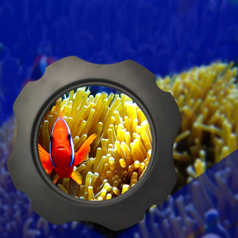 2 and 1 fish cylinder magnifying mirror.Aquarium c... – Vicedeal