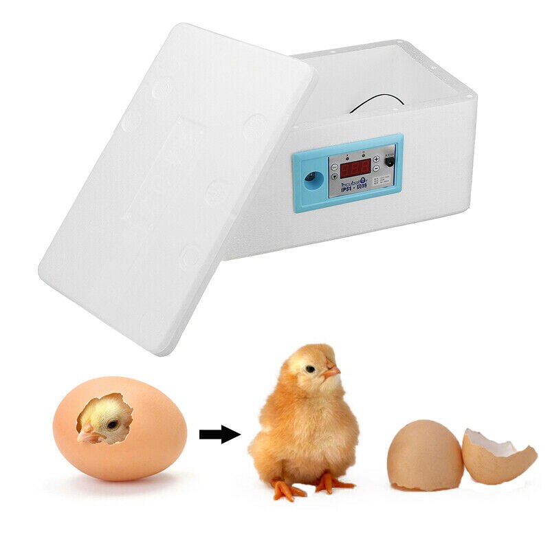 Eggs Incubator 12V Automatic Digital Temperature I... – Grandado