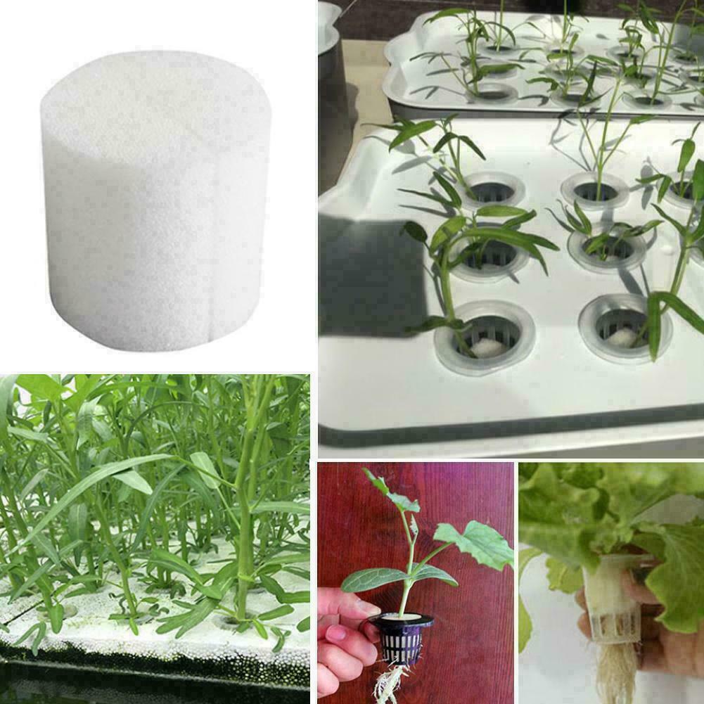 100pcs Planting Hydroponic Sponge Soilless Cultiva... – Grandado