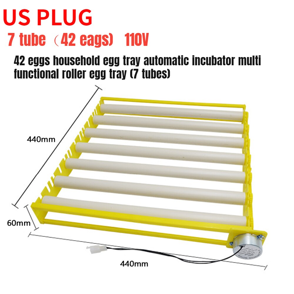 56/43 Eggs Chickens Ducks And Other Poultry Tray A... – Grandado