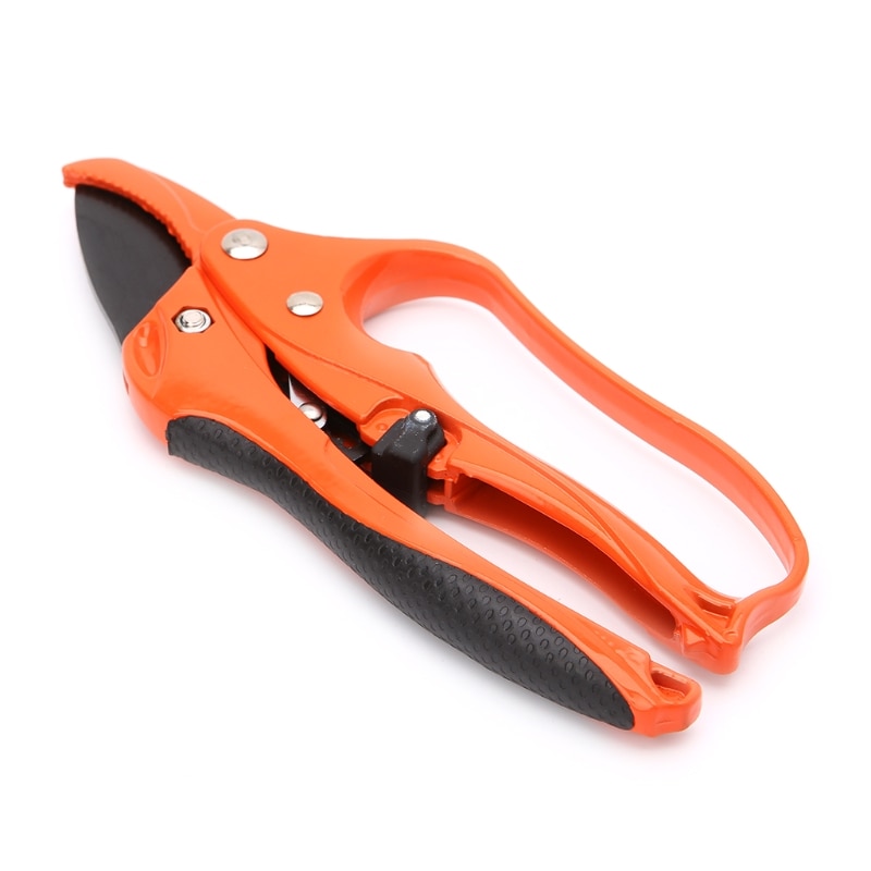 1Pc Tuin Gereedschap Snoeischaar Schaar Fruit Rate... – Grandado