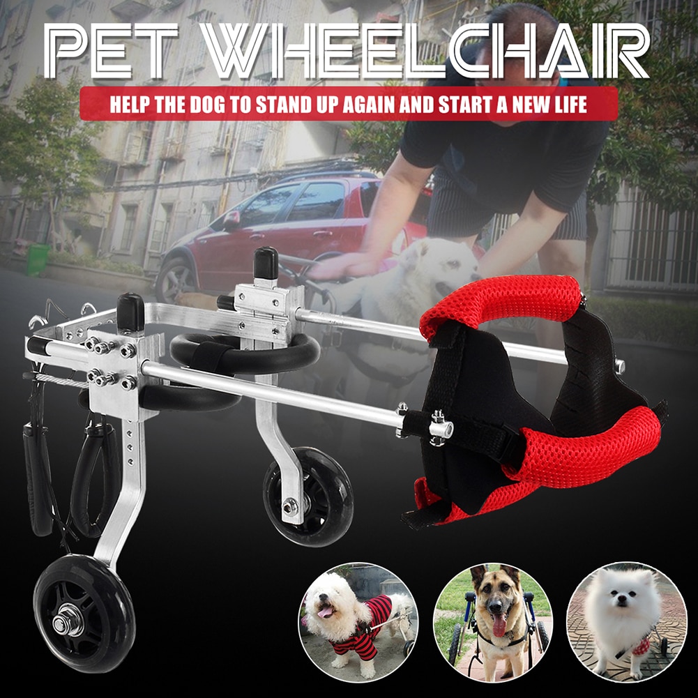 Pet Wheelchair Handicapped Cat Tool Accessories Al... – Grandado