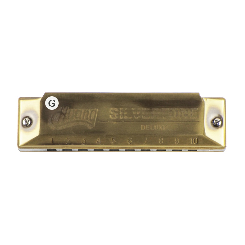 10 Holes Huang Harmonica Diatonic Blues Harp Mouth... – Grandado