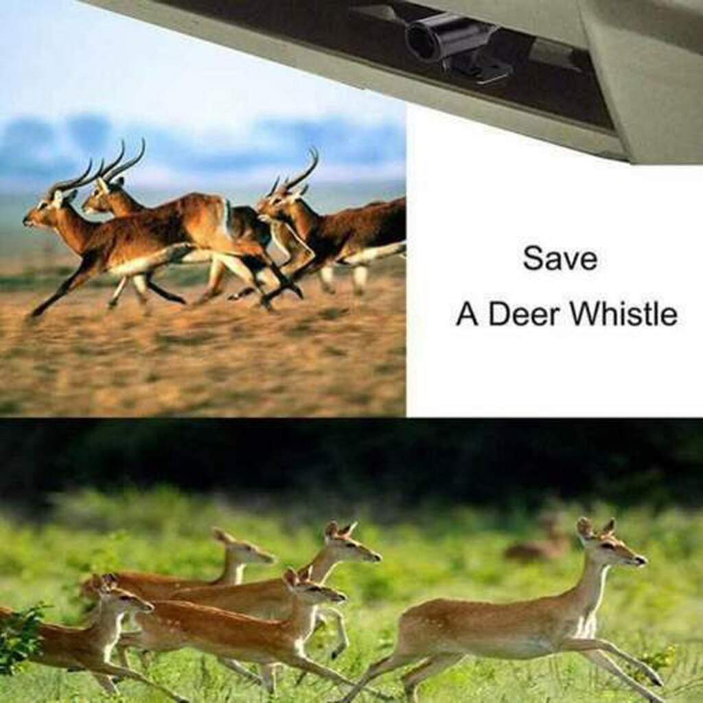 Animal Friendly Warning Whistle Deer Alert Animal ... – Vicedeal