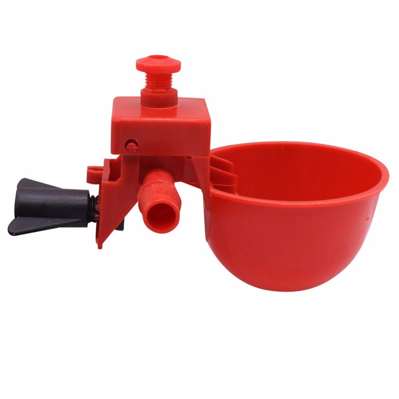 2 Pcs Bird drinking bowl Quail drinking fountain P... – Grandado