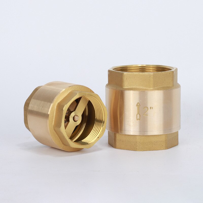 Vertical Check Valve DN15/DN20/DN25 Hydraulic Cont... – Grandado