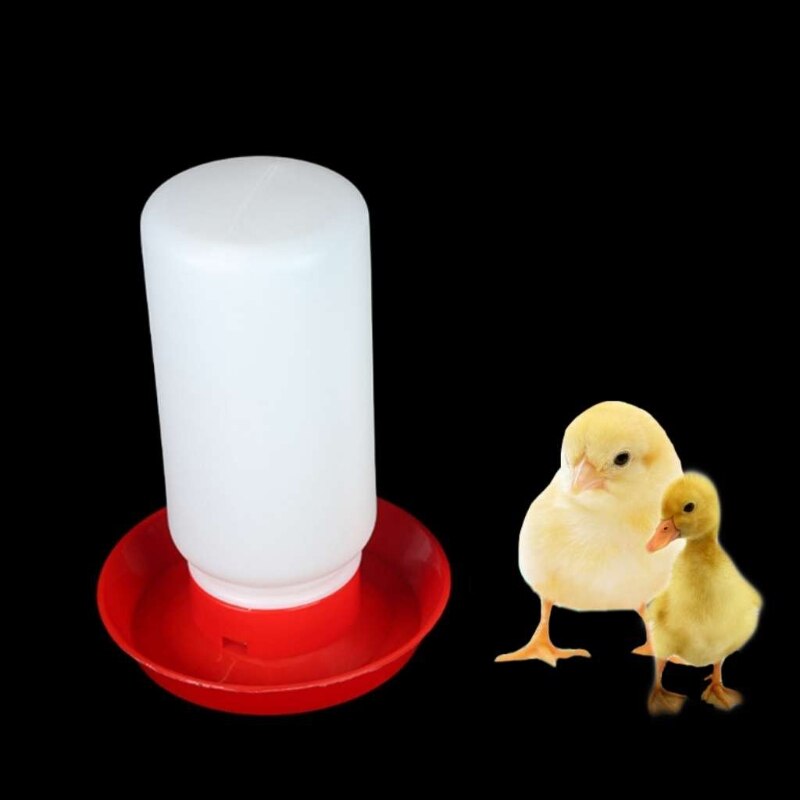 Baby Chick Feeder and Waterer Kit for Poultry Foun... – Grandado
