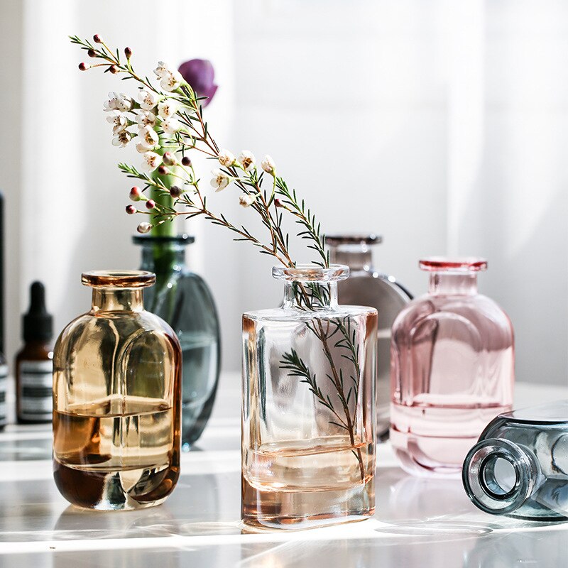Vase Glass Transparent Flower Vases For Homes Dry ... – Vicedeal