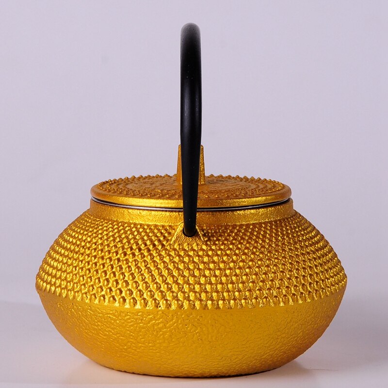 Cast Iron Teapot Teapot with Filter Flower Tea Pou... – Grandado