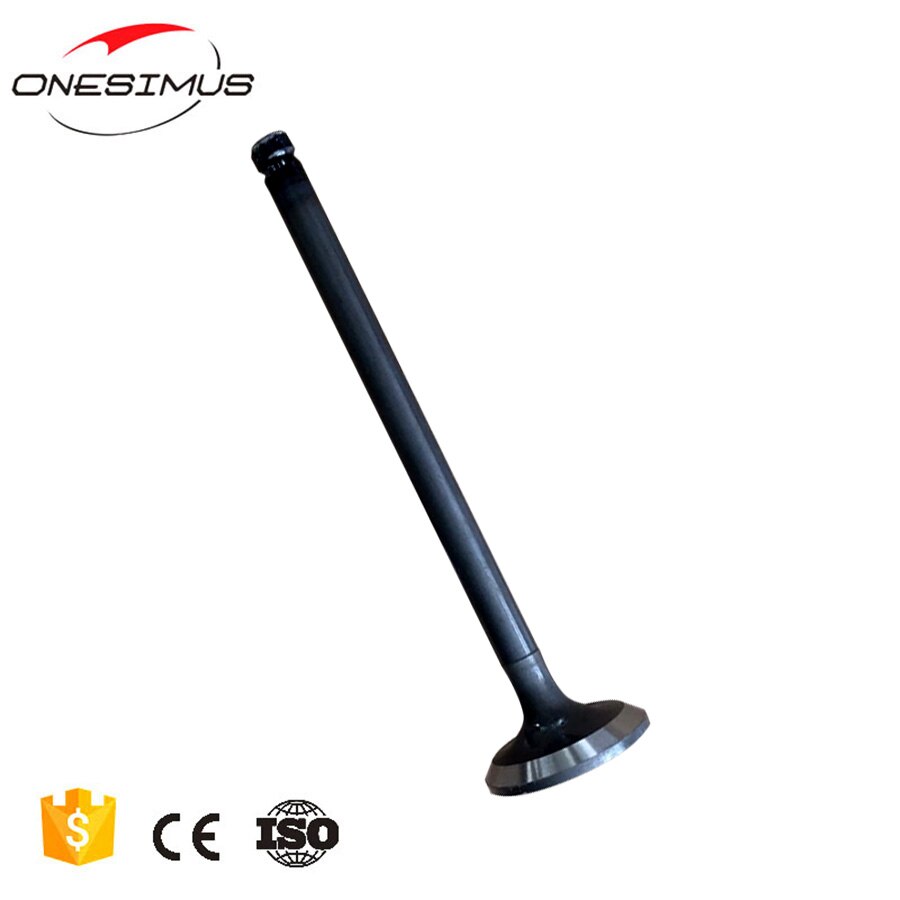 Intake Valve for Engine D4BH D4BF 4D55 T DT GALLOP... – Grandado